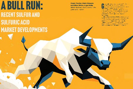 A bull run: recent sulfur and sulphuric acid market developments ...
